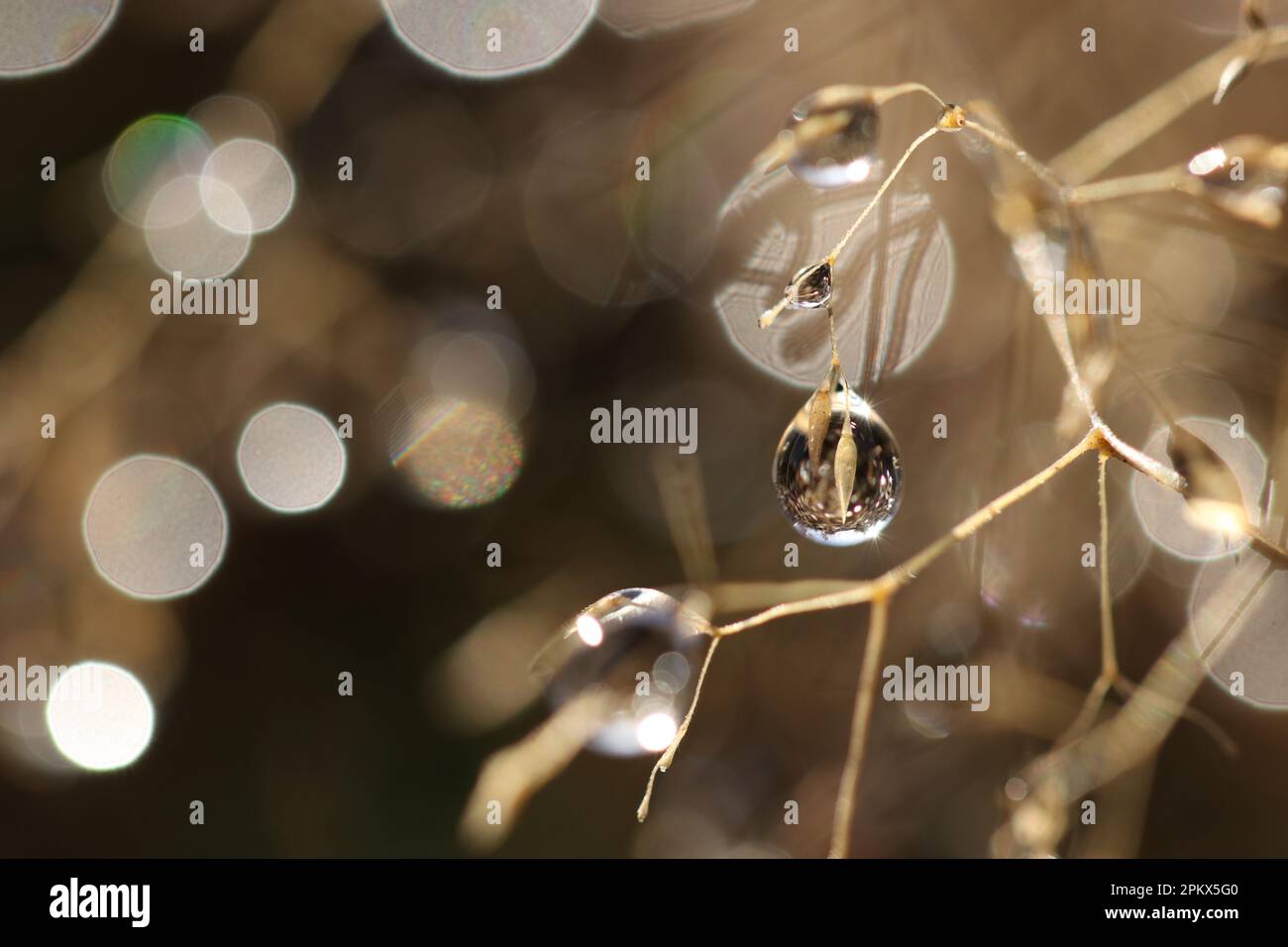 Sparkling sun on water hi-res stock photography and images - Alamy