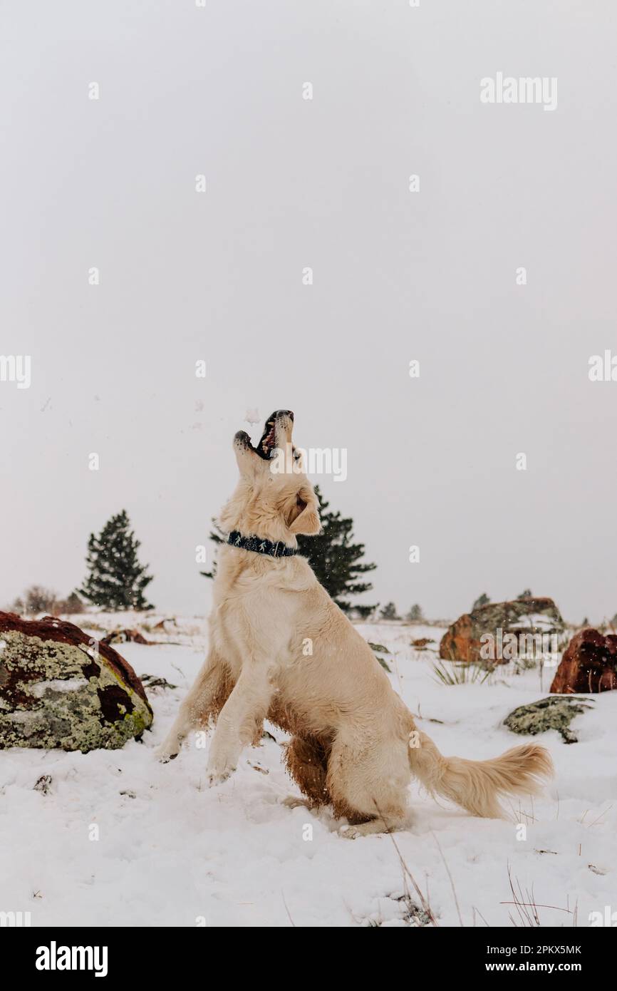 Boulder snow hi-res stock photography and images - Alamy