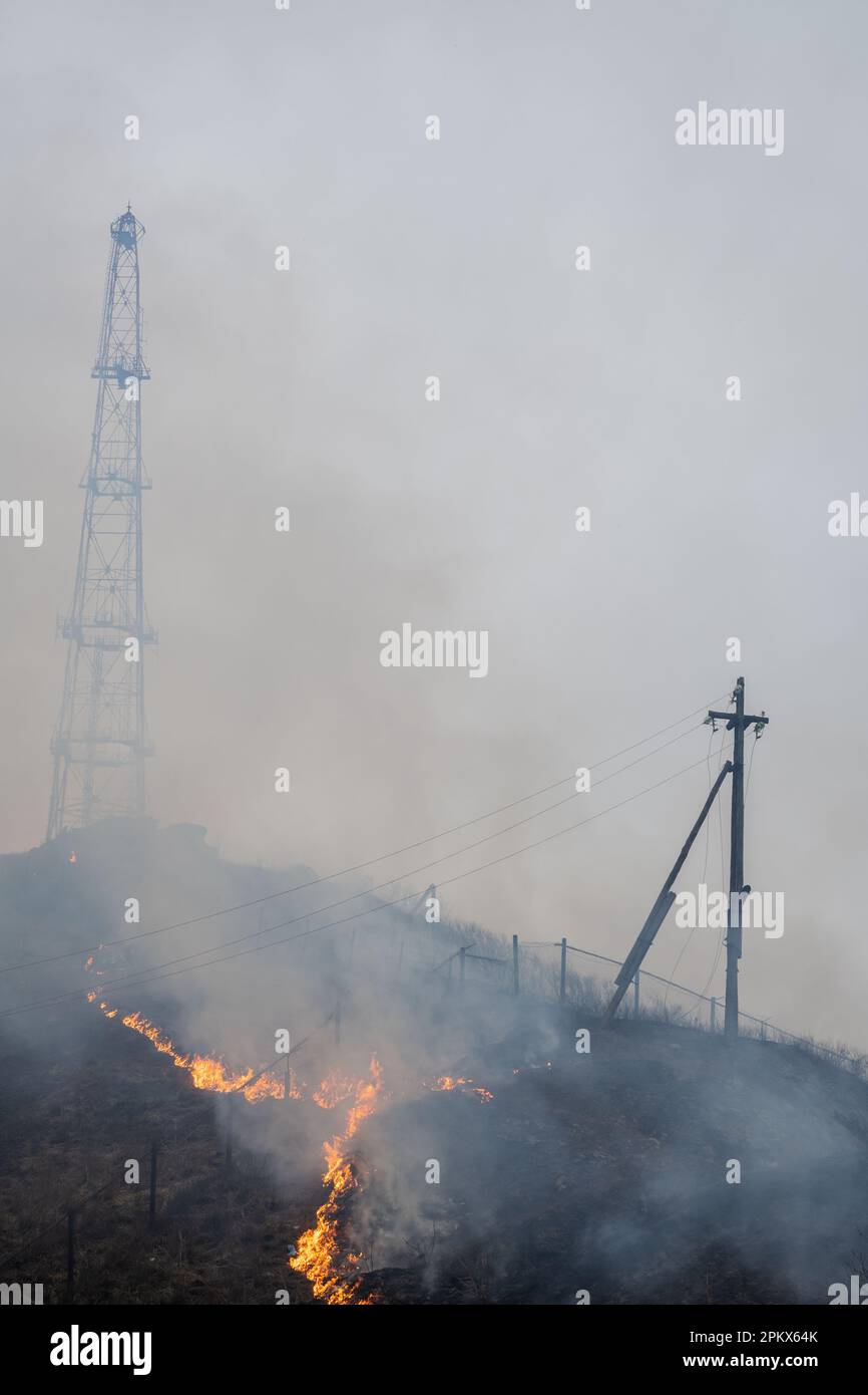 Dry grass burns during drought weather. Natural disaster Stock Photo ...