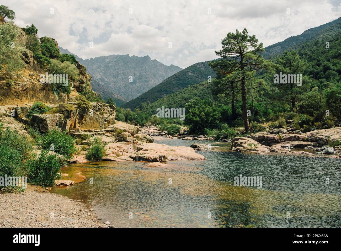 Forest, River and Mountains meet in stunning Corsican landscape Stock ...