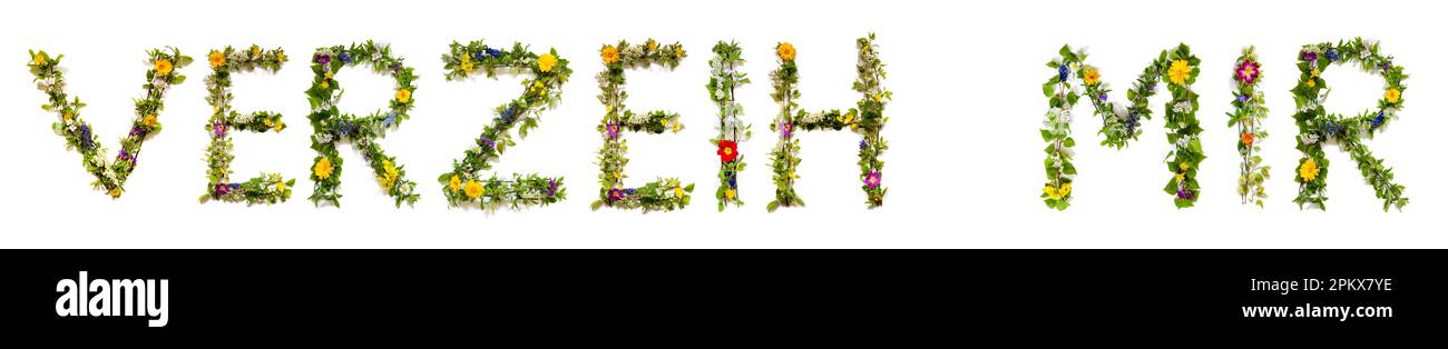 Colorful Blooming Flower Letters Building Verzeih Mir Means Forgive Me ...