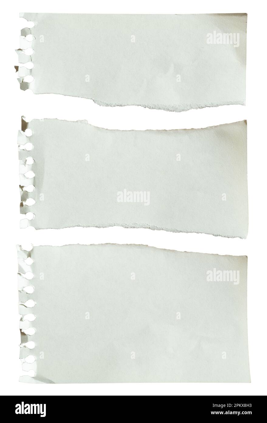 Tear notebook paper pulled out from a ring notebook isolated on white ...