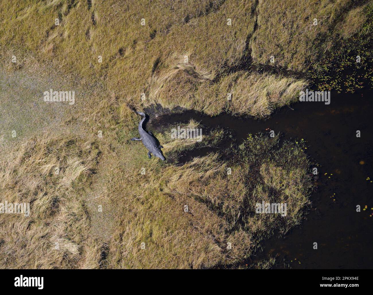 Nile delta aerial hi-res stock photography and images - Alamy