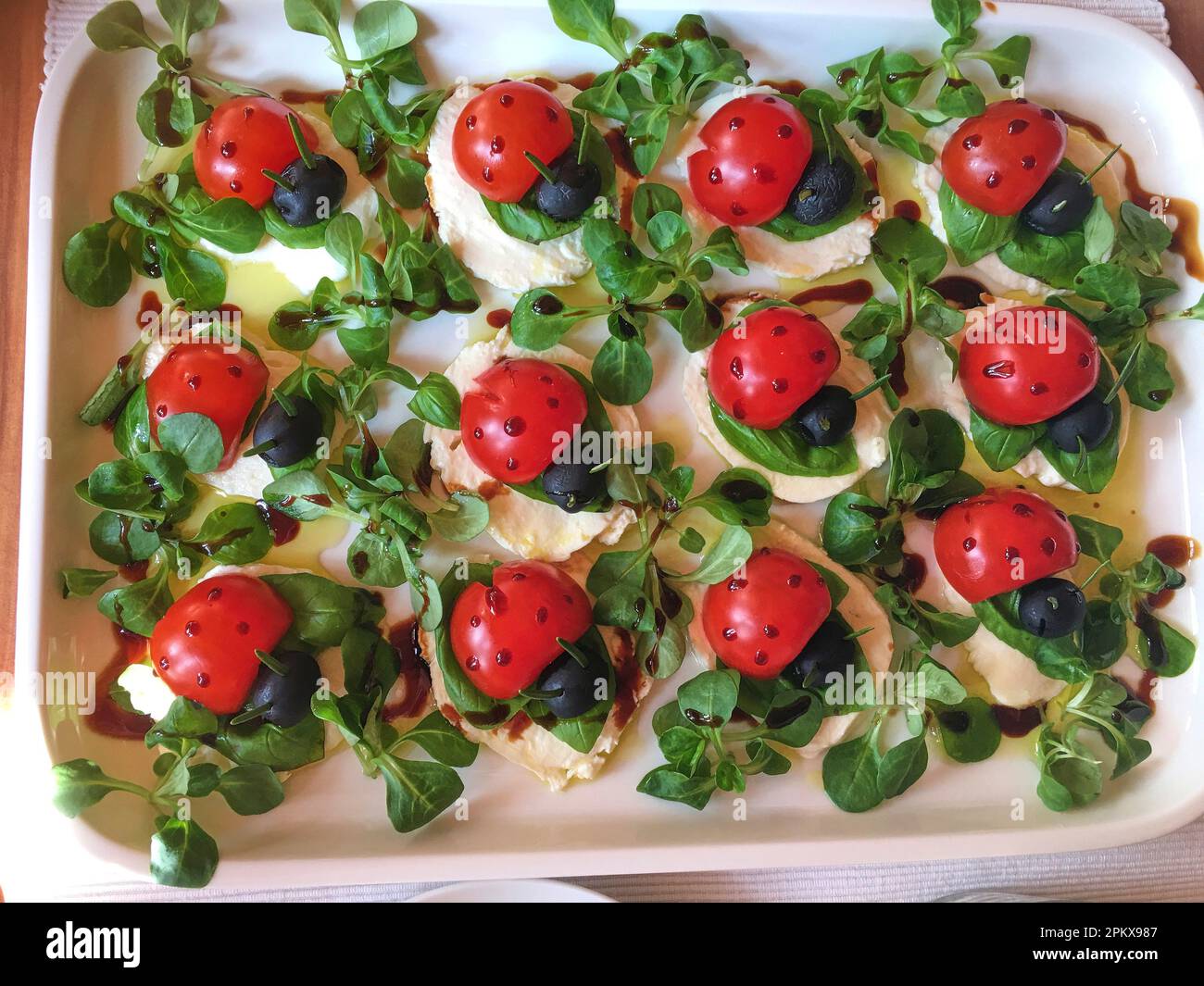 Ladybug design hi-res stock photography and images - Alamy