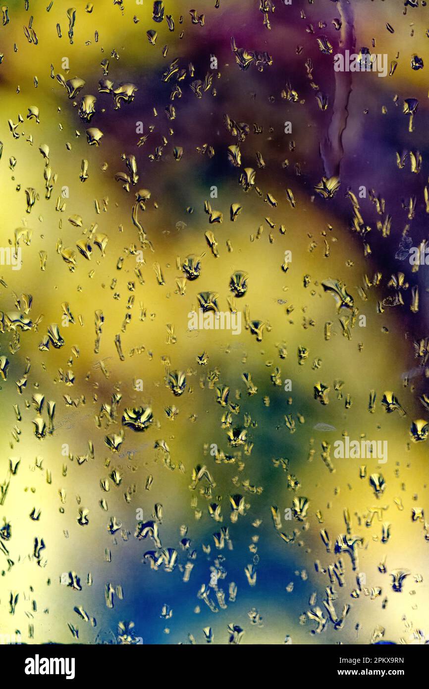 Close up of raindrops on window against a yellow and blue background ...