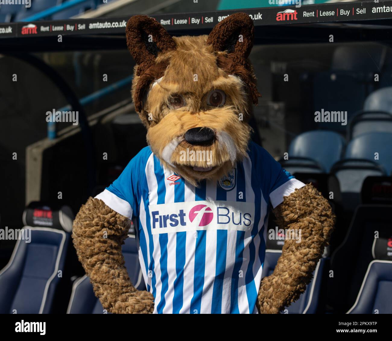 The blackburn rovers mascot hi-res stock photography and images - Alamy