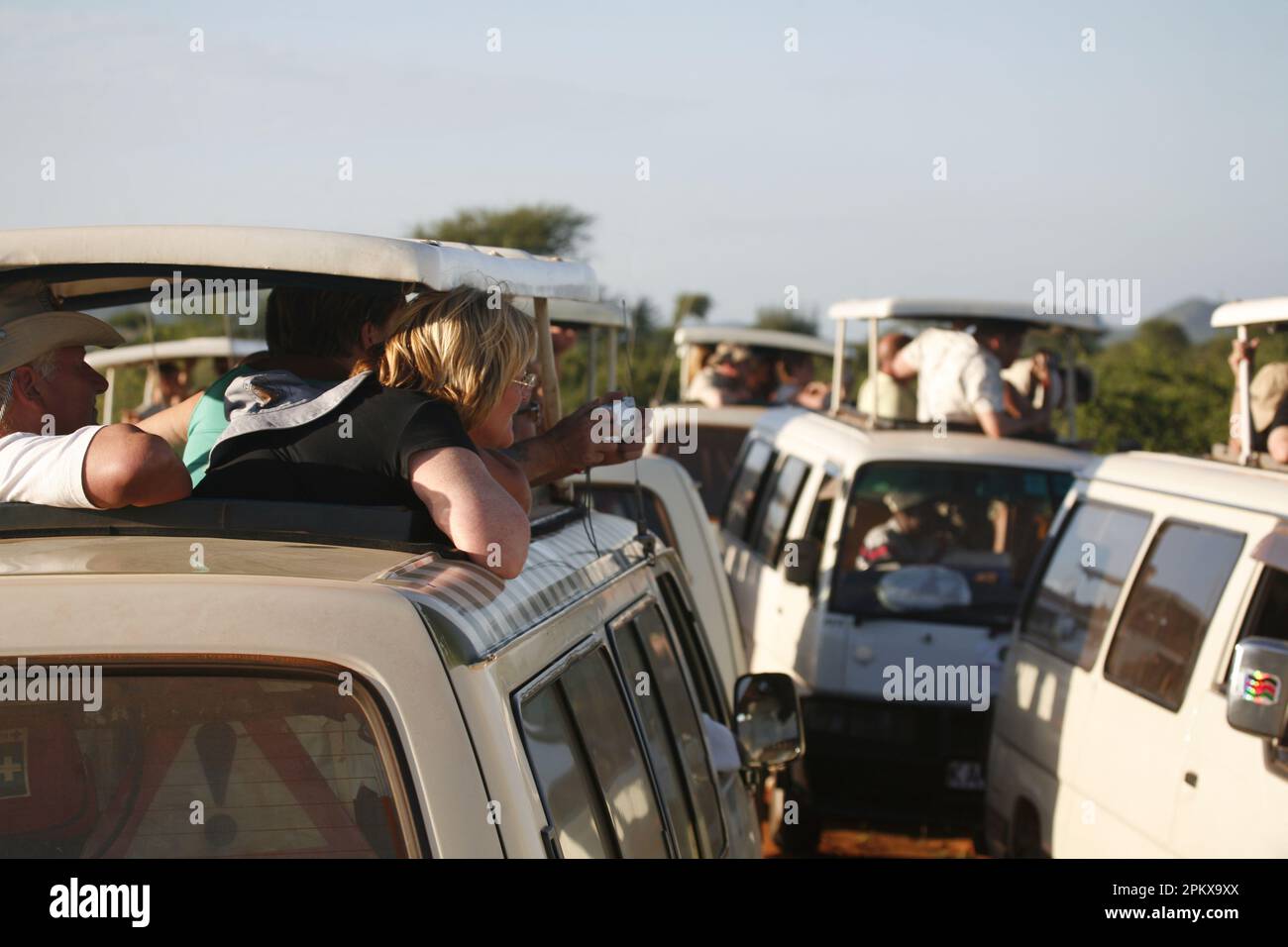 Tsavo East National Park, tourists on safari buses, Kenya Stock Photo ...