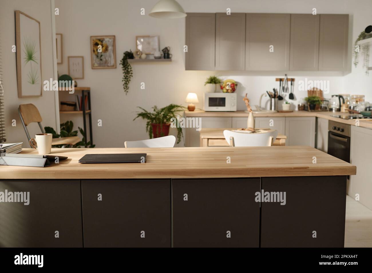 Horizontal image of modern domestic kitchen with big table and other ...