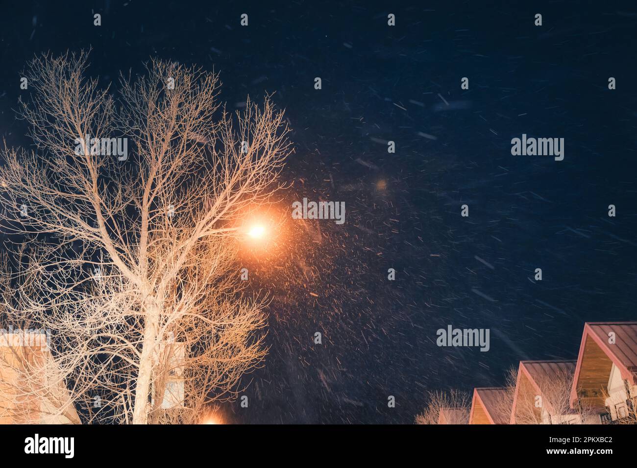 Snow falling night forest hi-res stock photography and images - Alamy