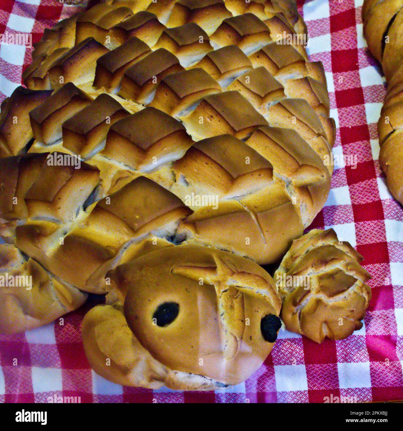 Turtle bread hi-res stock photography and images - Alamy