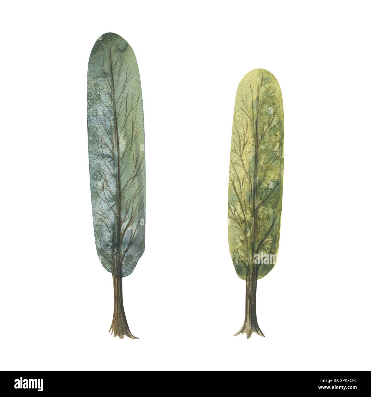 Two green trees with foliage. Hand-drawn watercolor illustration ...