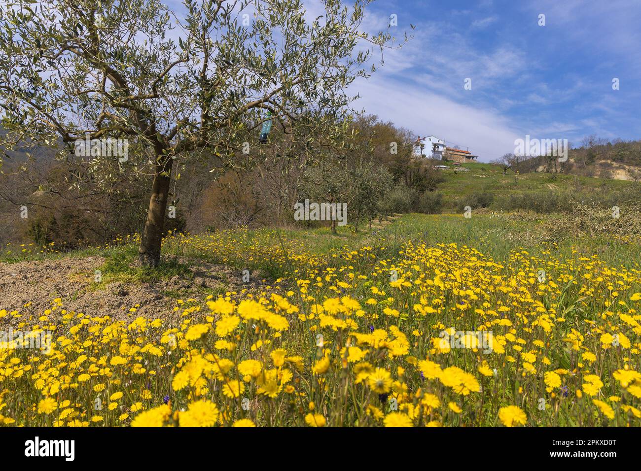 Aerial view of Sopot waterfall with a stone bridge in Istra, Croatia ...