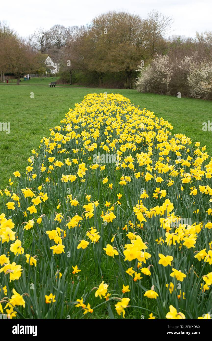 Ockwells park hi-res stock photography and images - Alamy