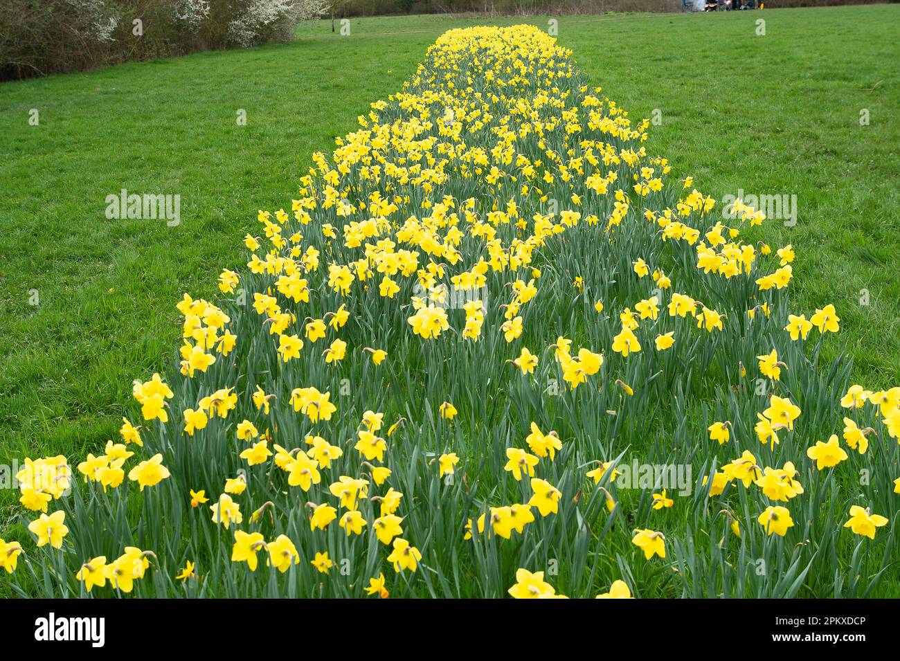 Ockwells park hi-res stock photography and images - Alamy