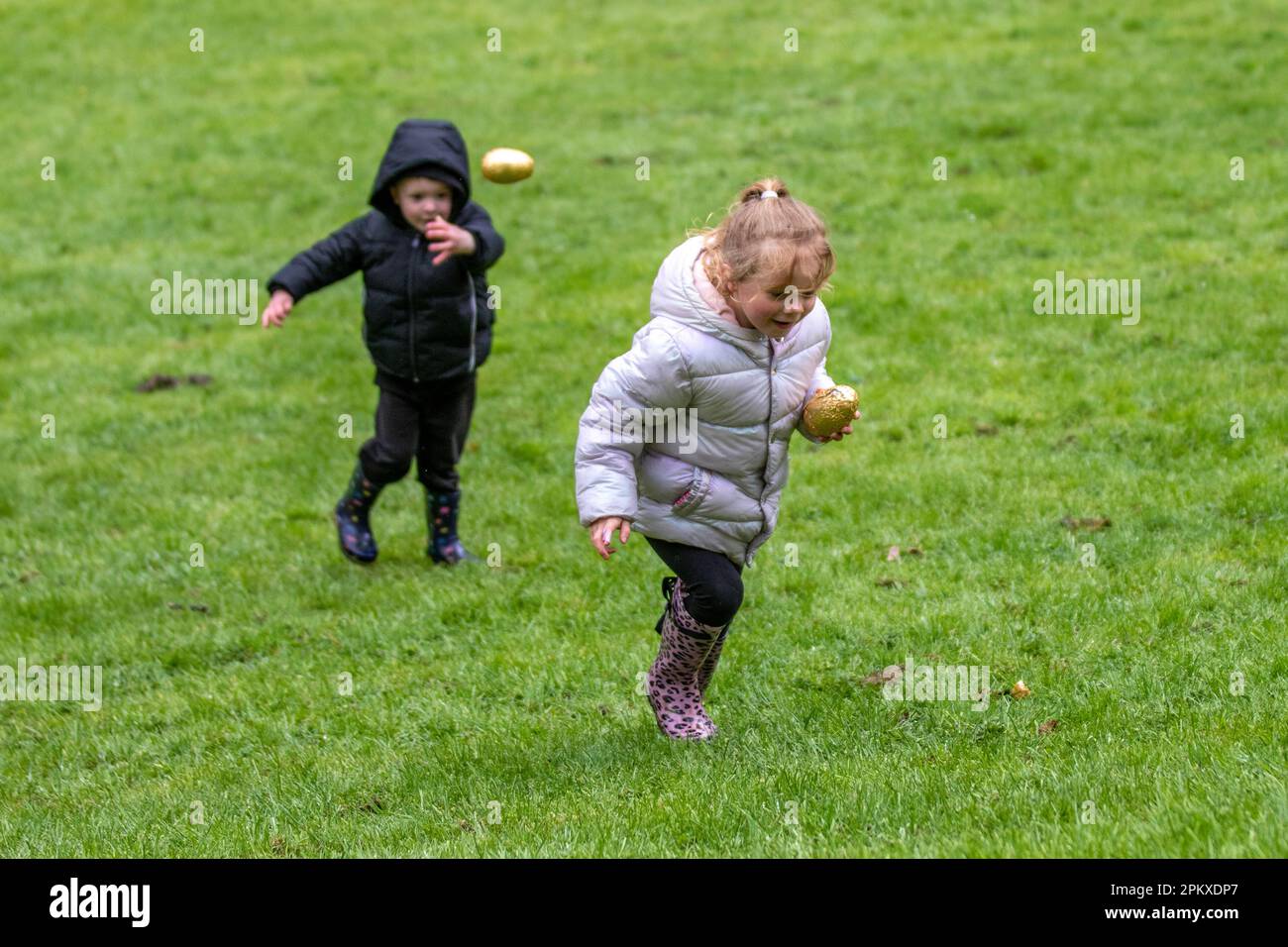 Public egg rolling celebrations hi-res stock photography and images - Alamy