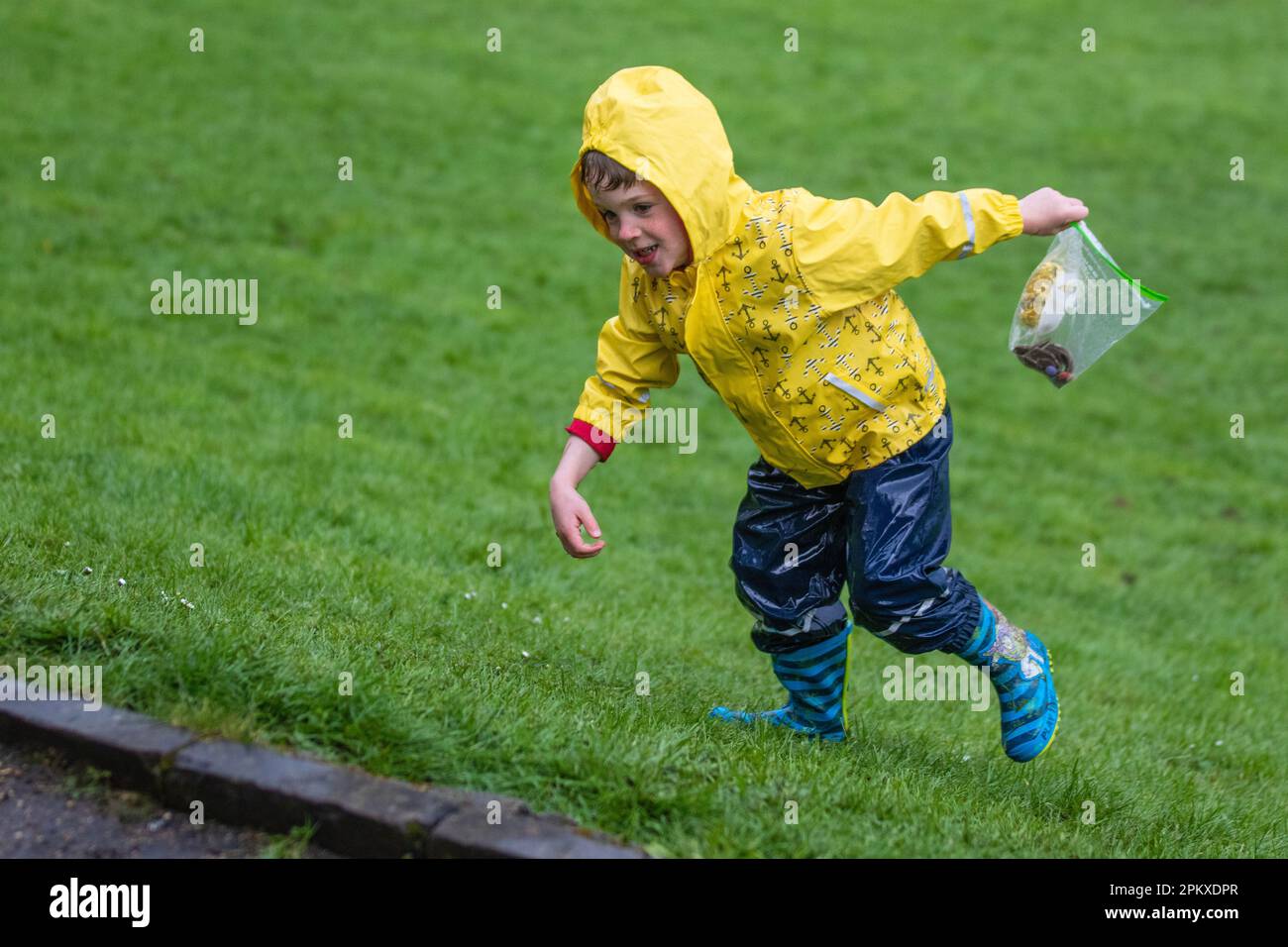 Public egg rolling celebrations hi-res stock photography and images - Alamy