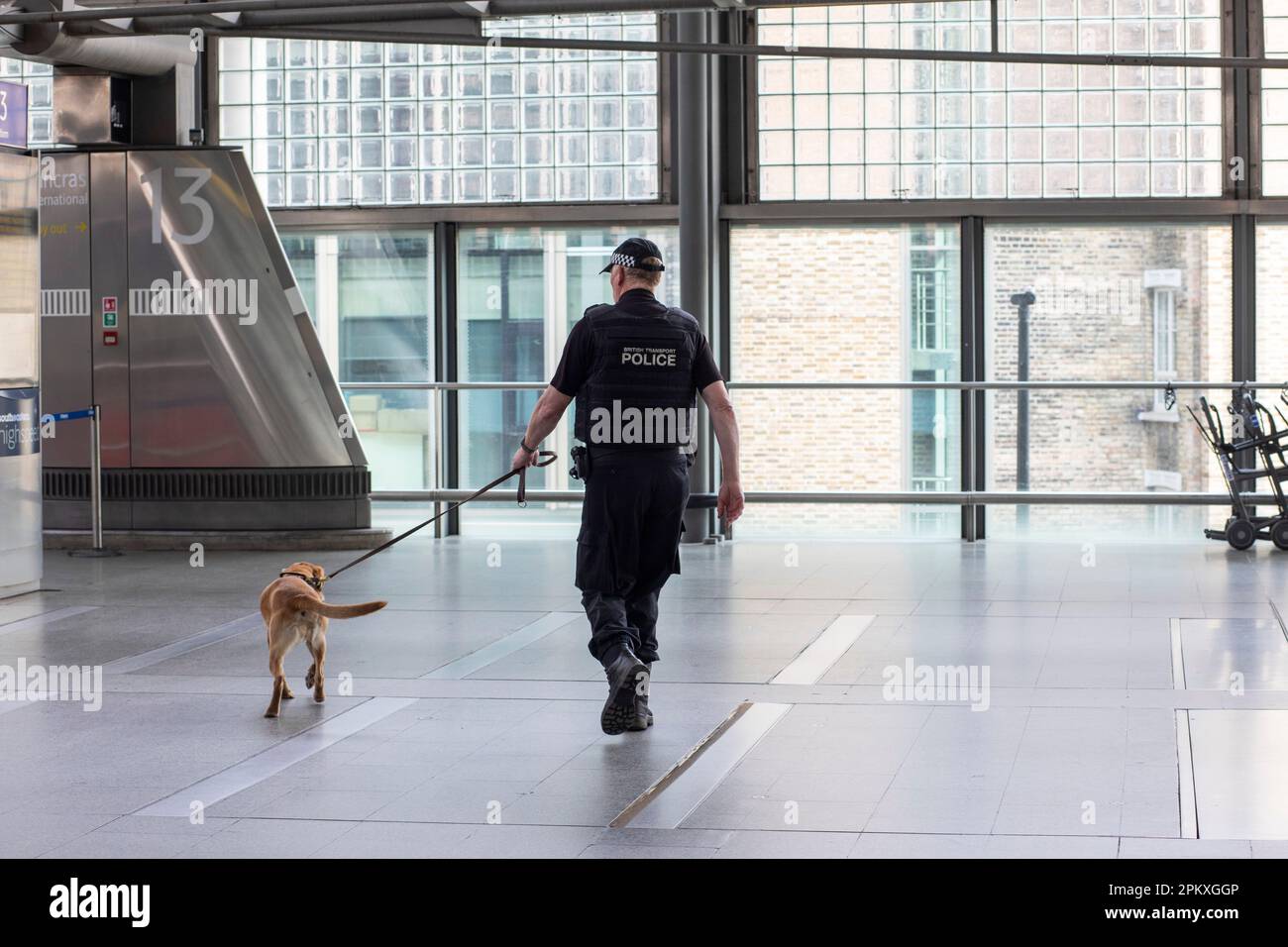A British Transport Police officer with a drugs sniffer dog at Kings ...