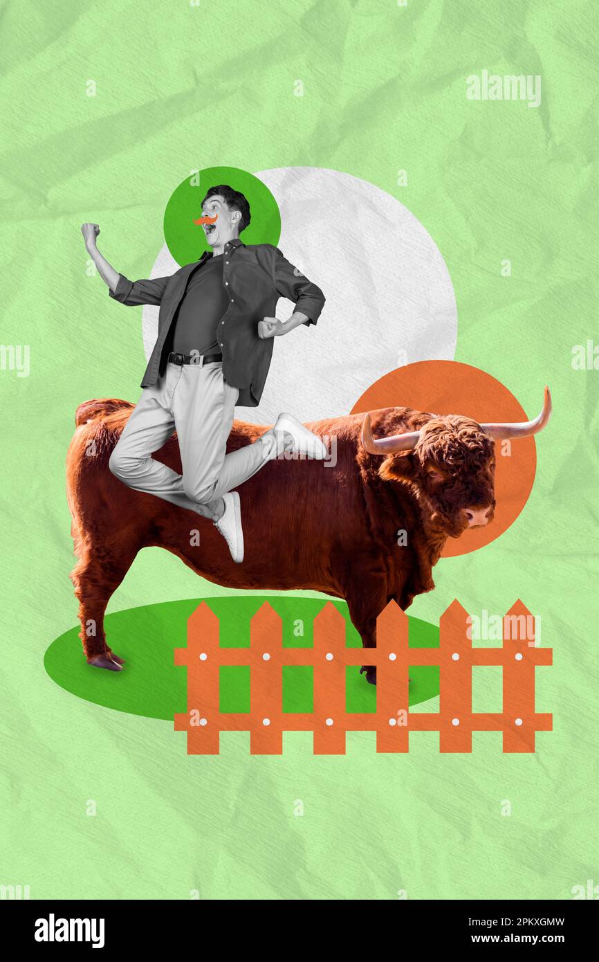 Funny Cartoon Rodeo Pictures