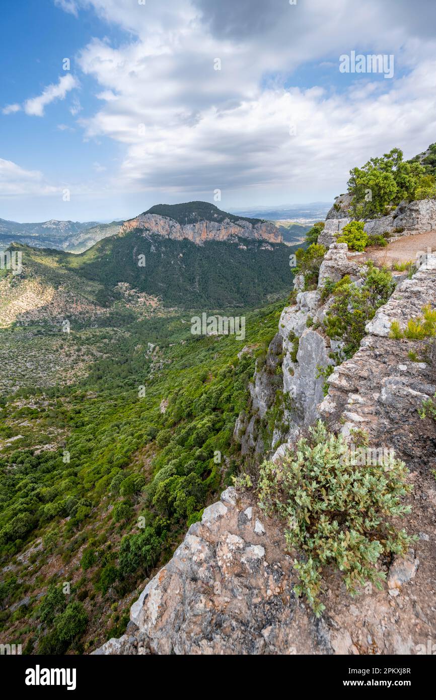 View over the mountains of the Serra de Tramuntana, Castell Alaro, Puig ...