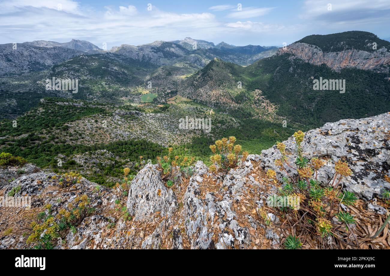 View over the mountains of the Serra de Tramuntana, Valley of Orient ...