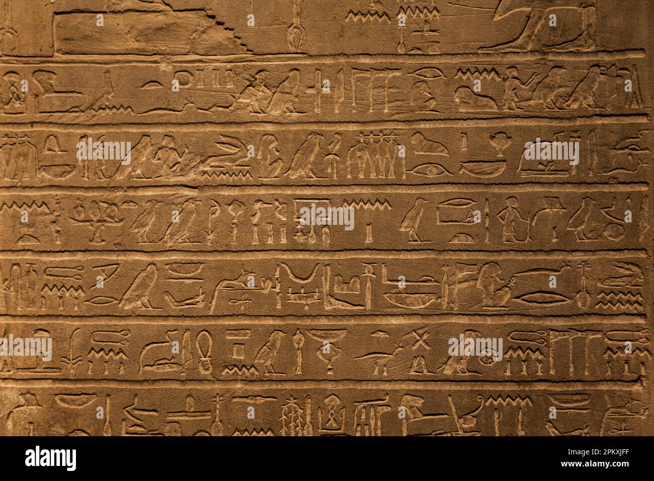 Detail of an original Egyptian hieroglyphic - limestone Stock Photo - Alamy
