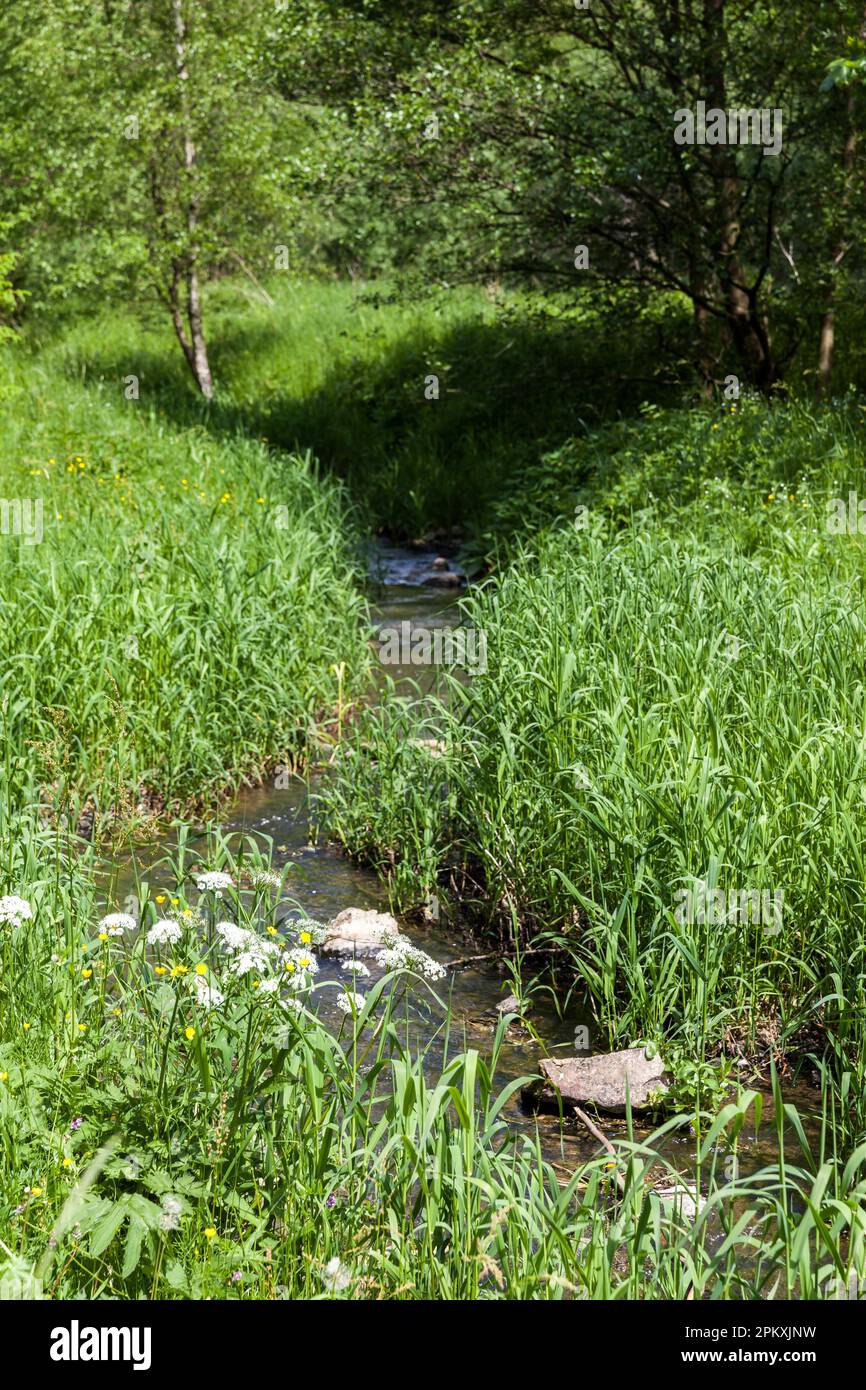 Summer landscape river different hi-res stock photography and images ...