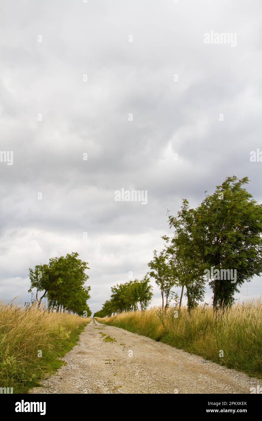 Field path towards heaven Stock Photo - Alamy
