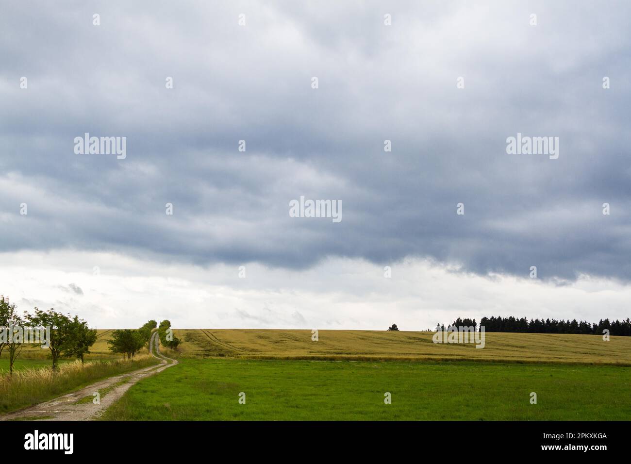 Field path towards heaven Stock Photo - Alamy