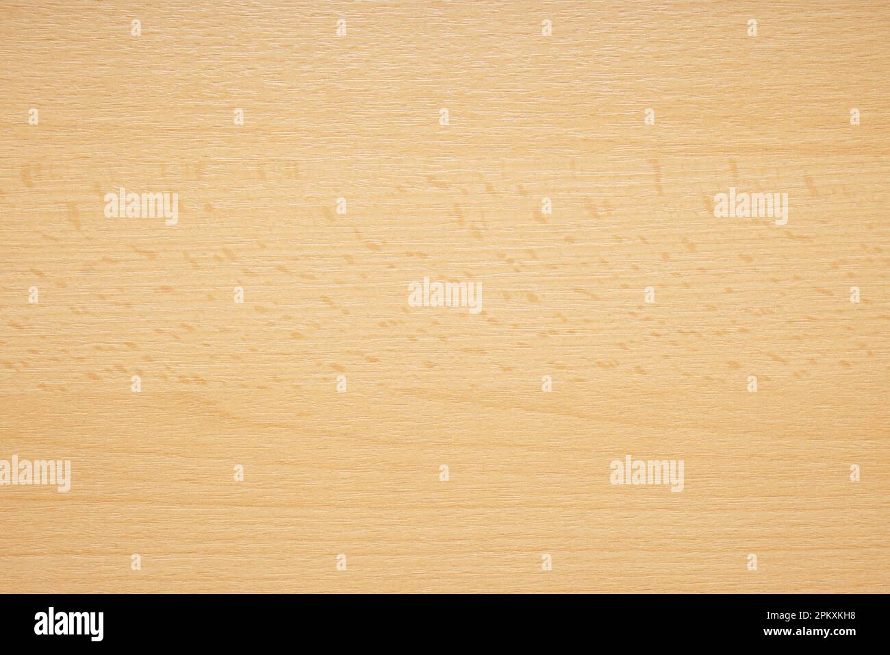 beechwood or beech wood background texture pattern Stock Photo - Alamy