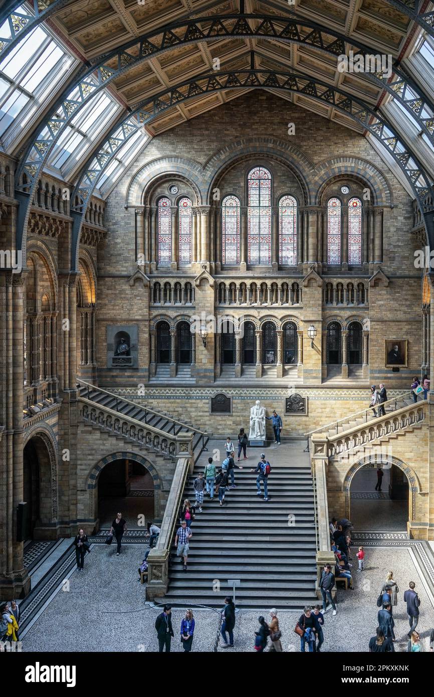 People Exploring the National History Museum in London Stock Photo - Alamy
