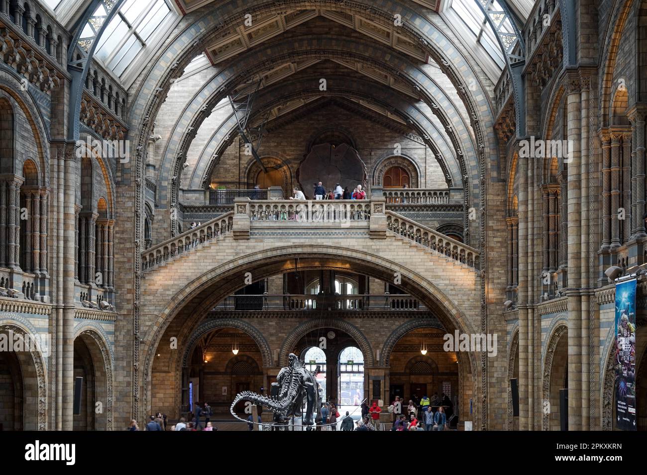 People exploring the National History Museum in London Stock Photo - Alamy