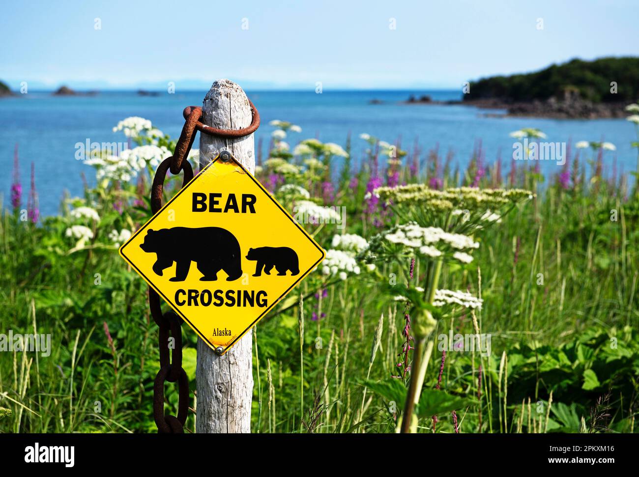 Bear warning sign usa hi-res stock photography and images - Alamy