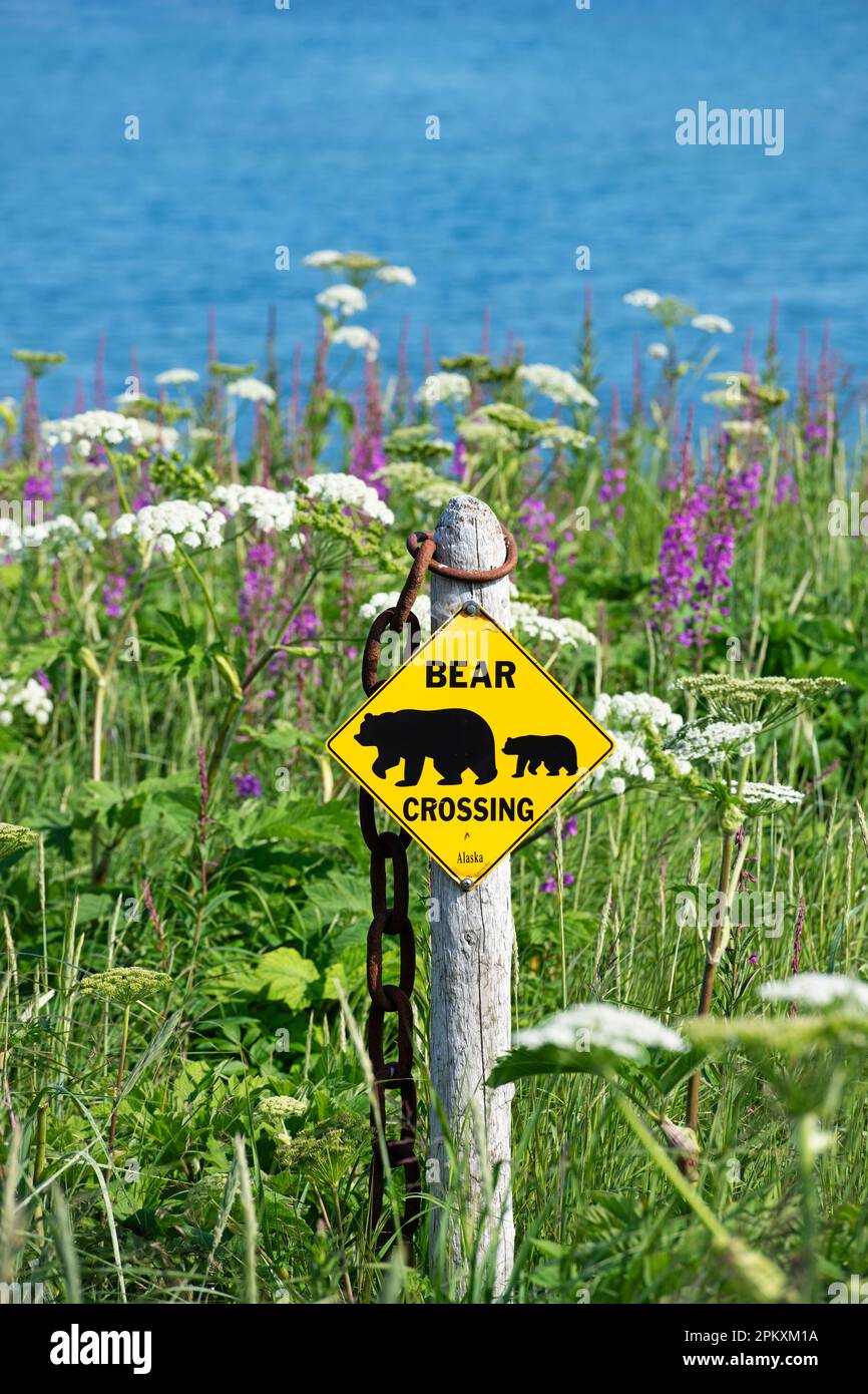 Bears warning sign hi-res stock photography and images - Alamy