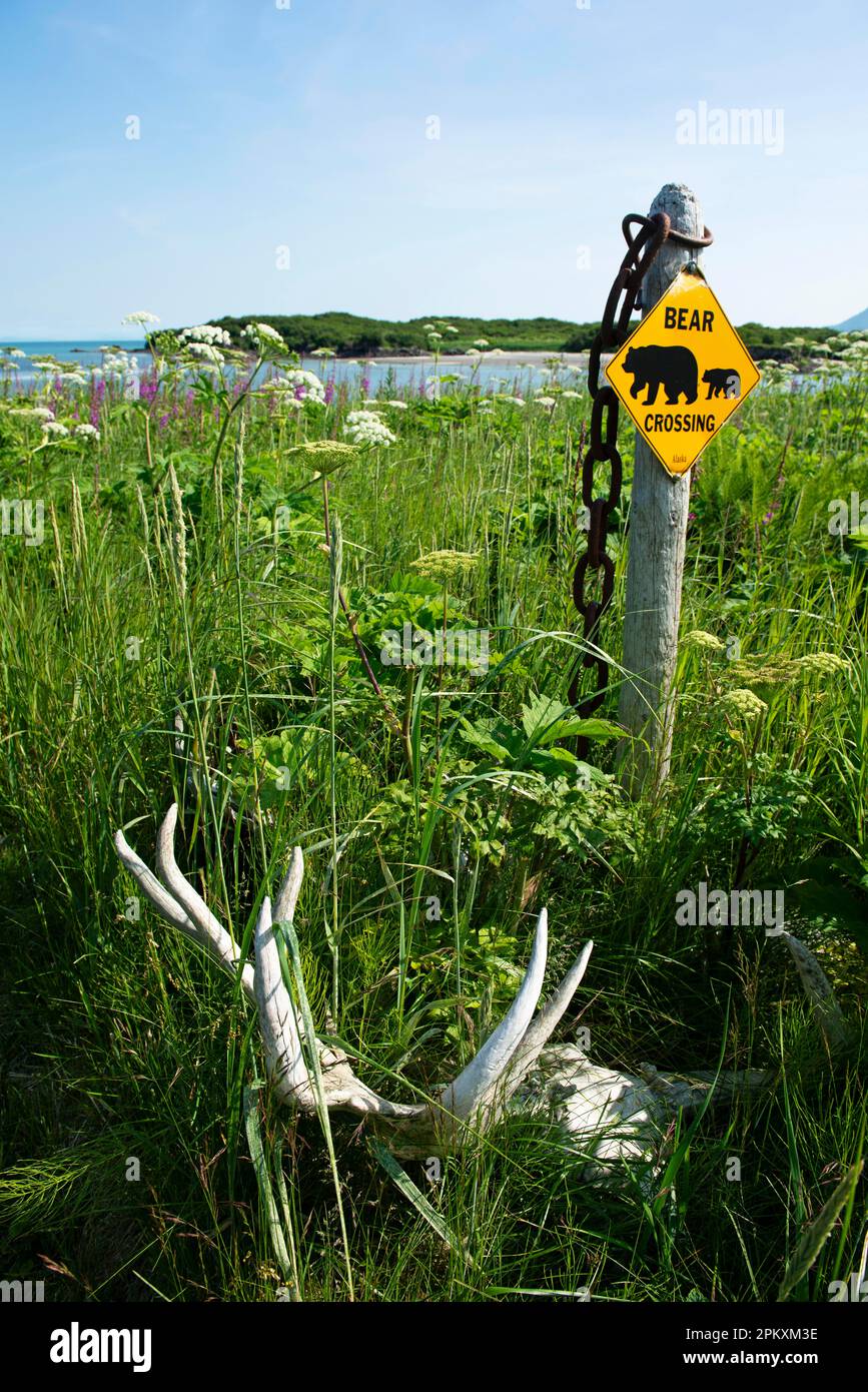 Bears warning sign hi-res stock photography and images - Alamy