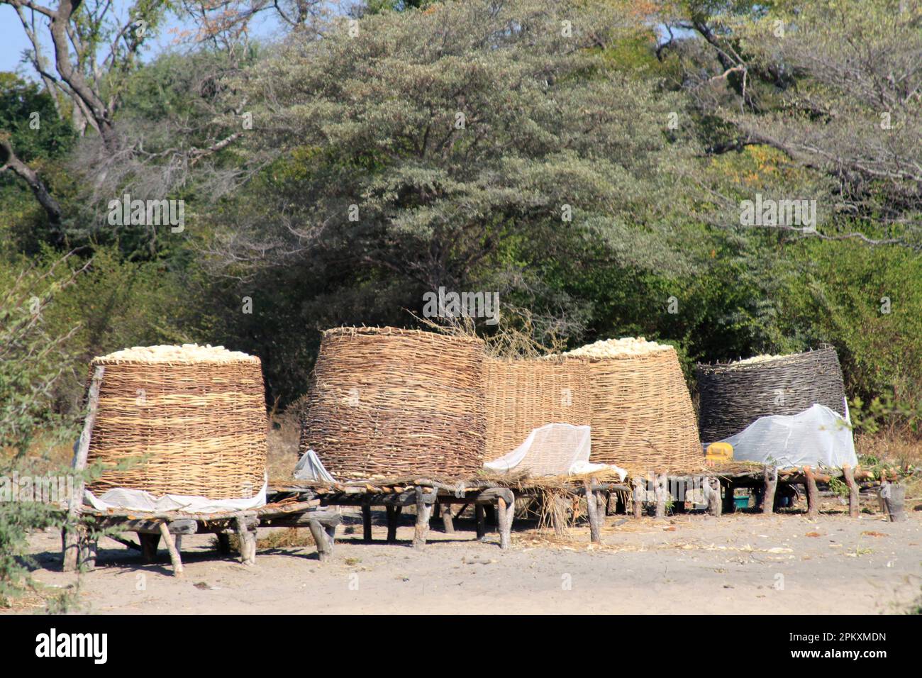 Maize store hi-res stock photography and images - Alamy