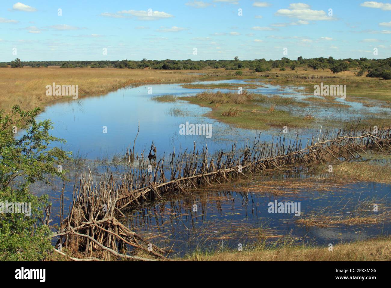 Fish creel near Mongu, Zambia Stock Photo - Alamy