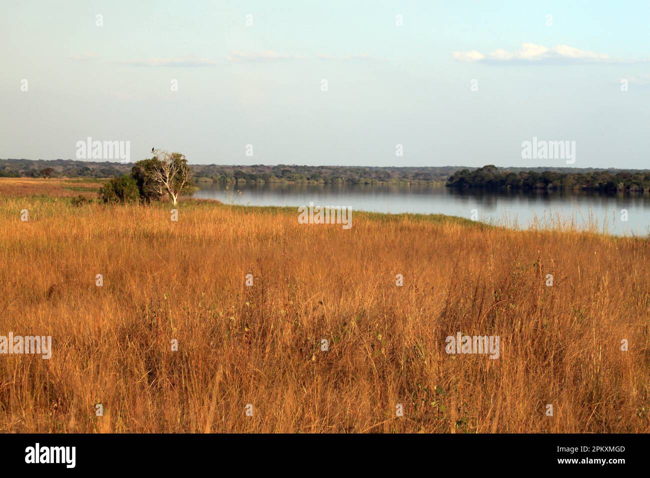 Kafue River, Kafue National Park, Zambia Stock Photo - Alamy