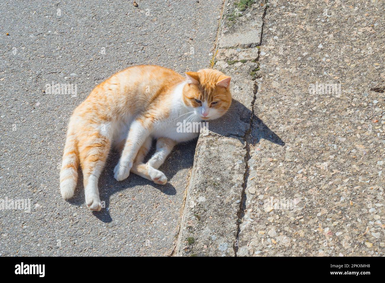 Sol adulto hi-res stock photography and images - Alamy