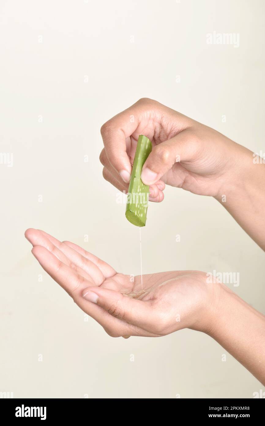 Extracting aloe vera gel on white background Stock Photo - Alamy
