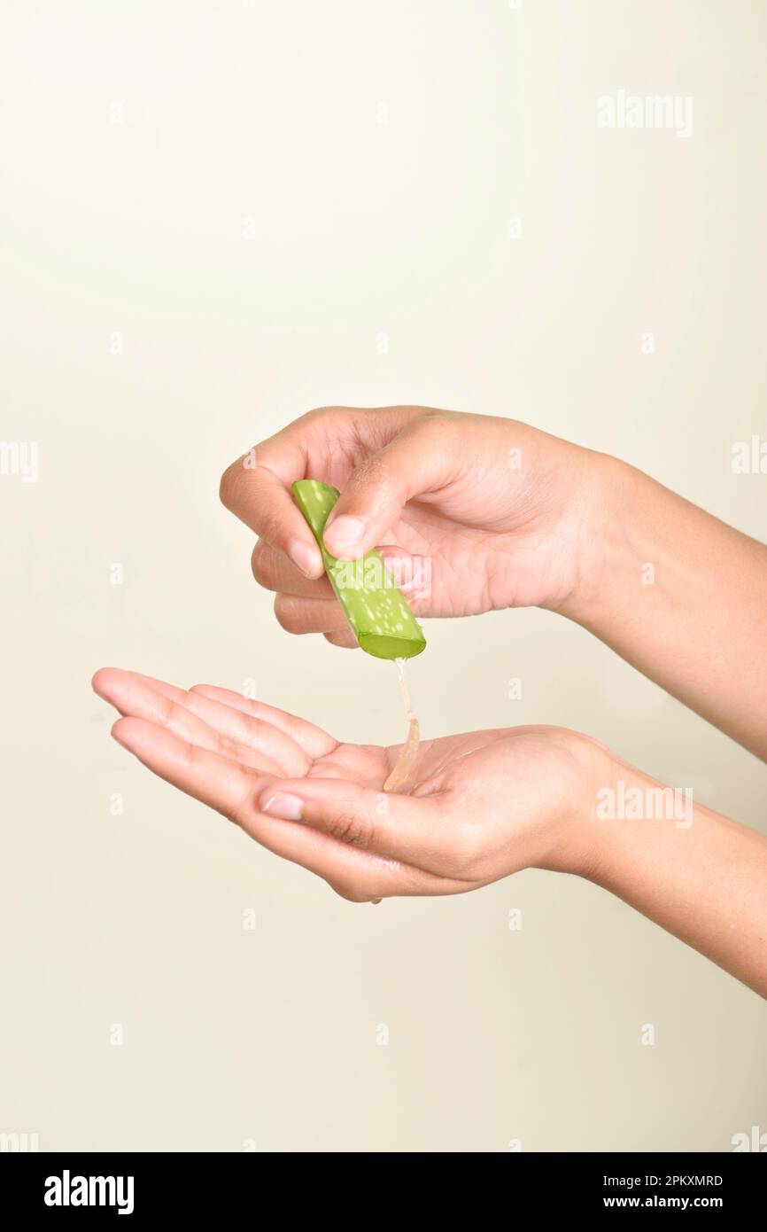 Extraction aloe vera gel from hand Stock Photo - Alamy