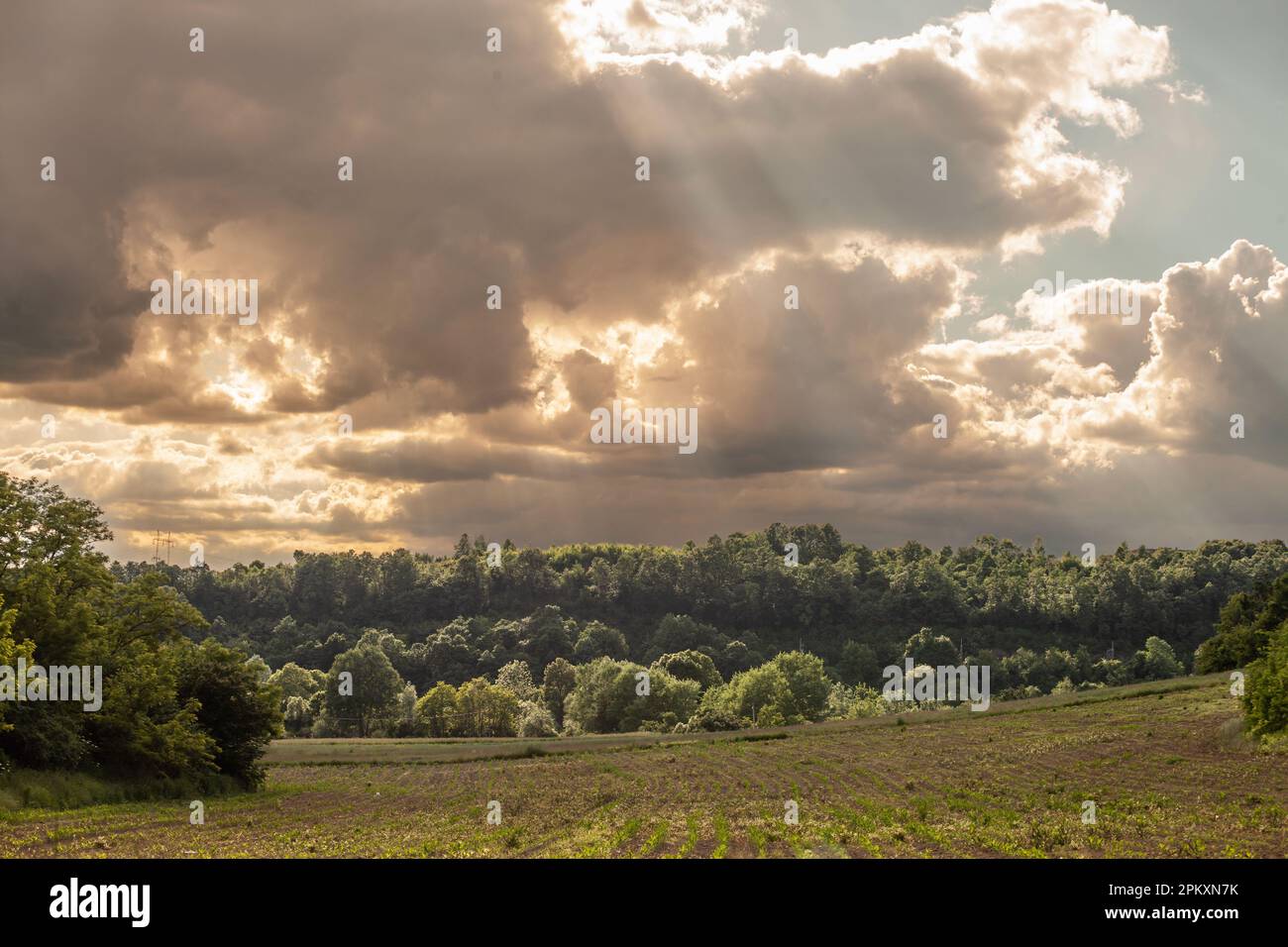 Picture of a typical countryside landscape of Serbia with serbian farms ...