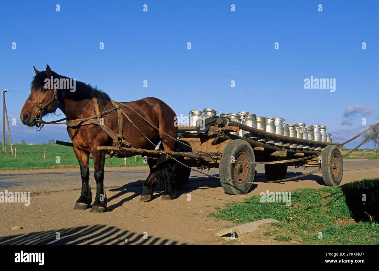Horse milk cart hi-res stock photography and images - Alamy