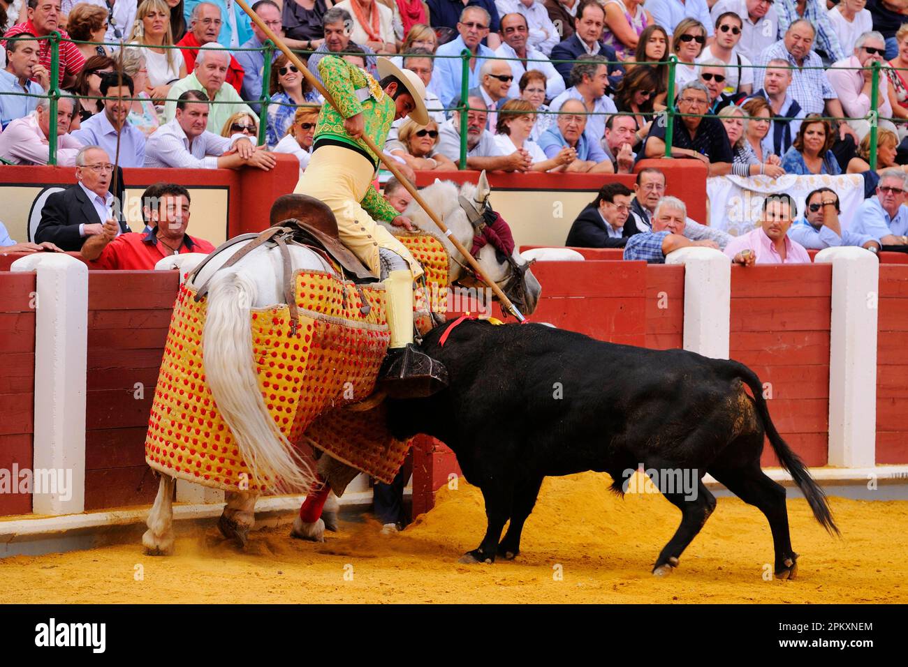 Bullfight, picador with lance, on horse with 'peto' guard, fighting ...