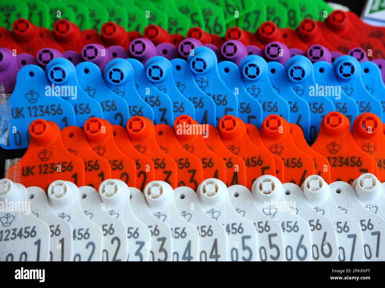 Ear tags hi-res stock photography and images - Alamy