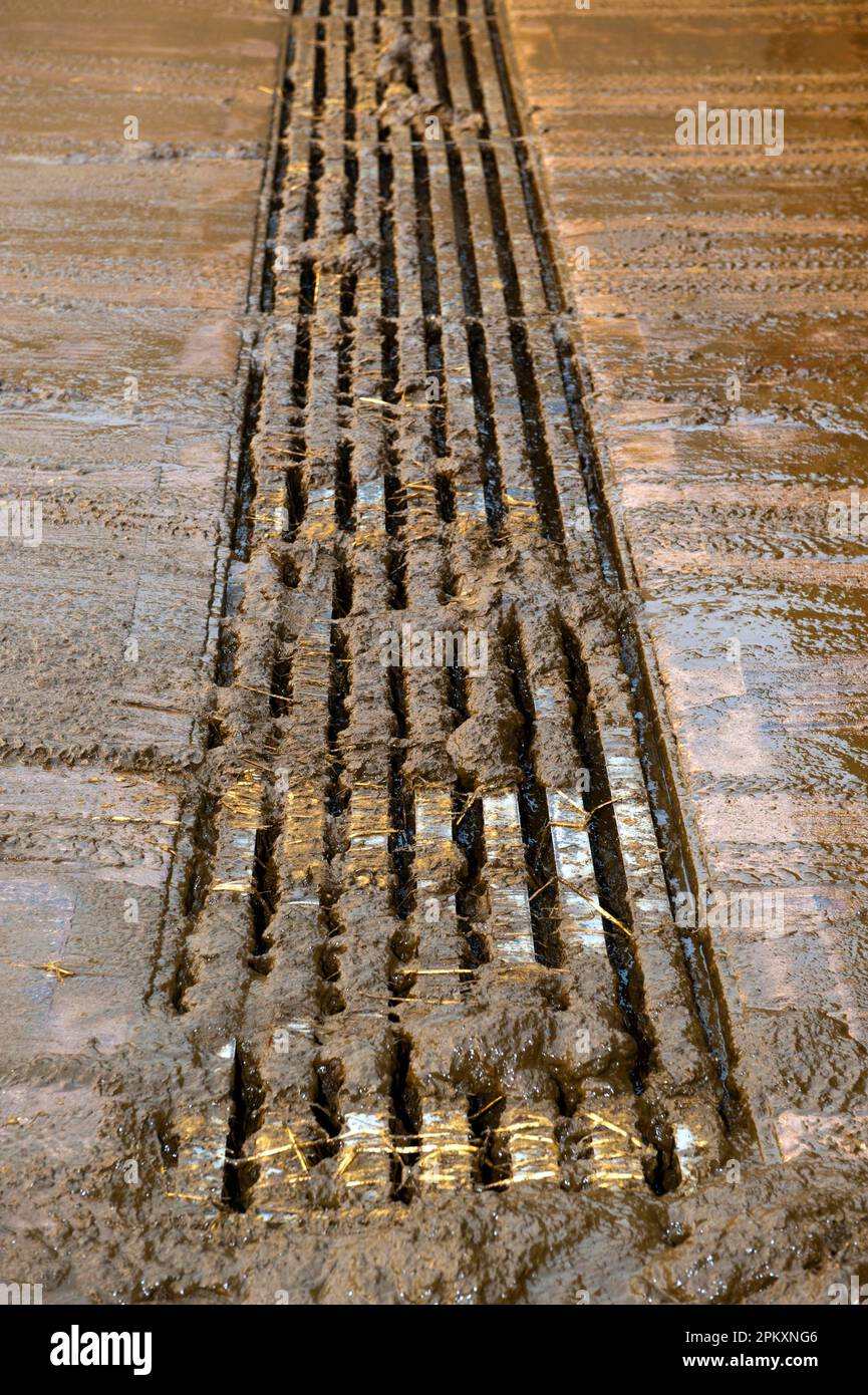 Concrete slats hi-res stock photography and images - Alamy