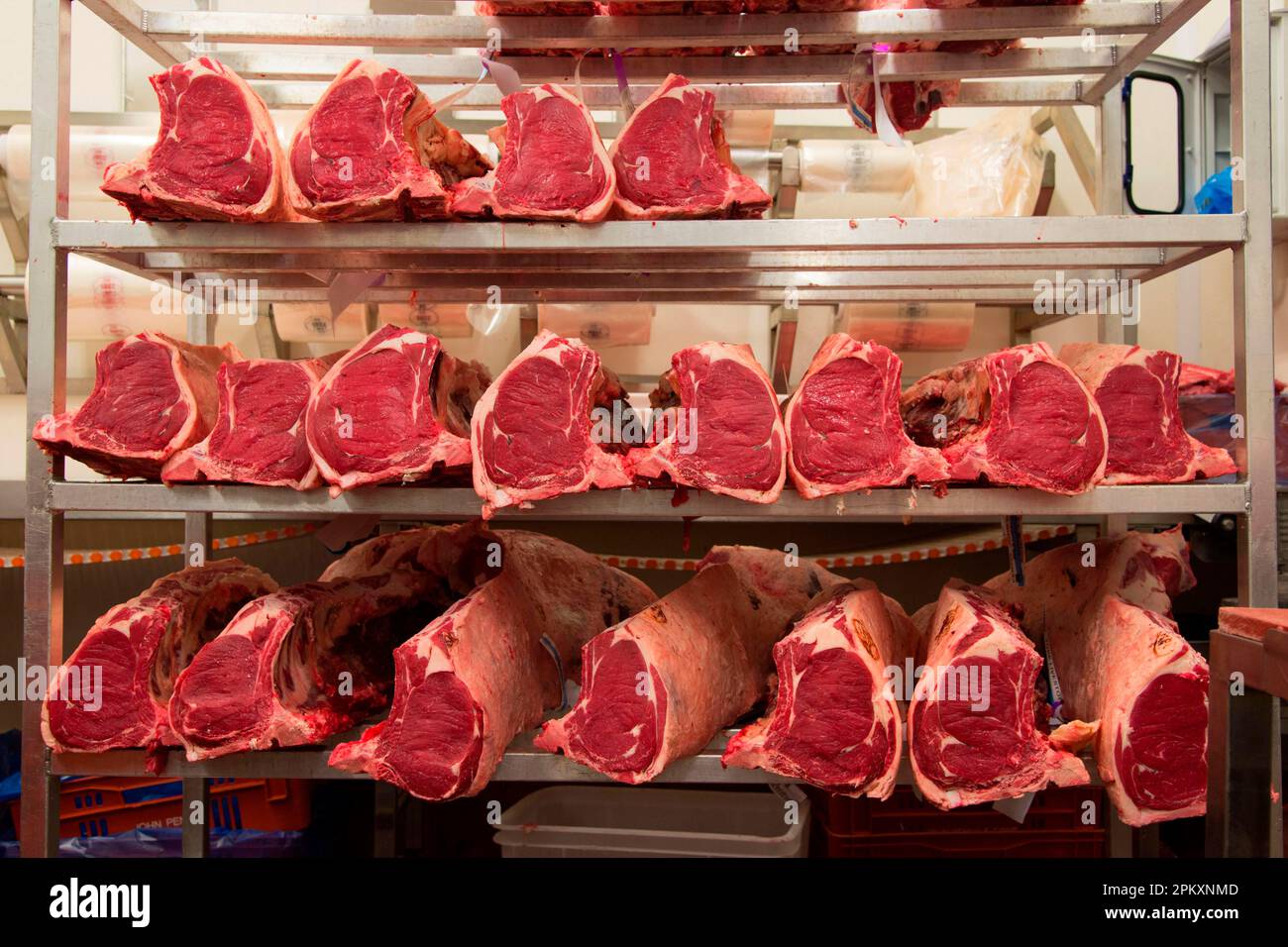 Sirloin joints of beef in abattoir, Yorkshire, England, United Kingdom ...