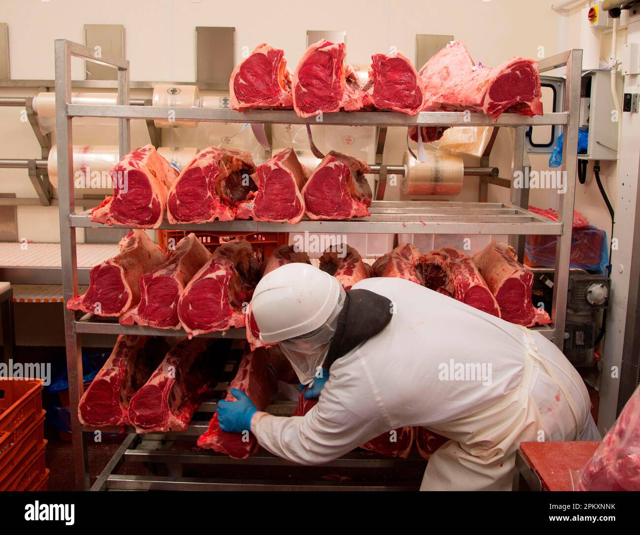 Slaughterhouse worker europe hi-res stock photography and images - Alamy