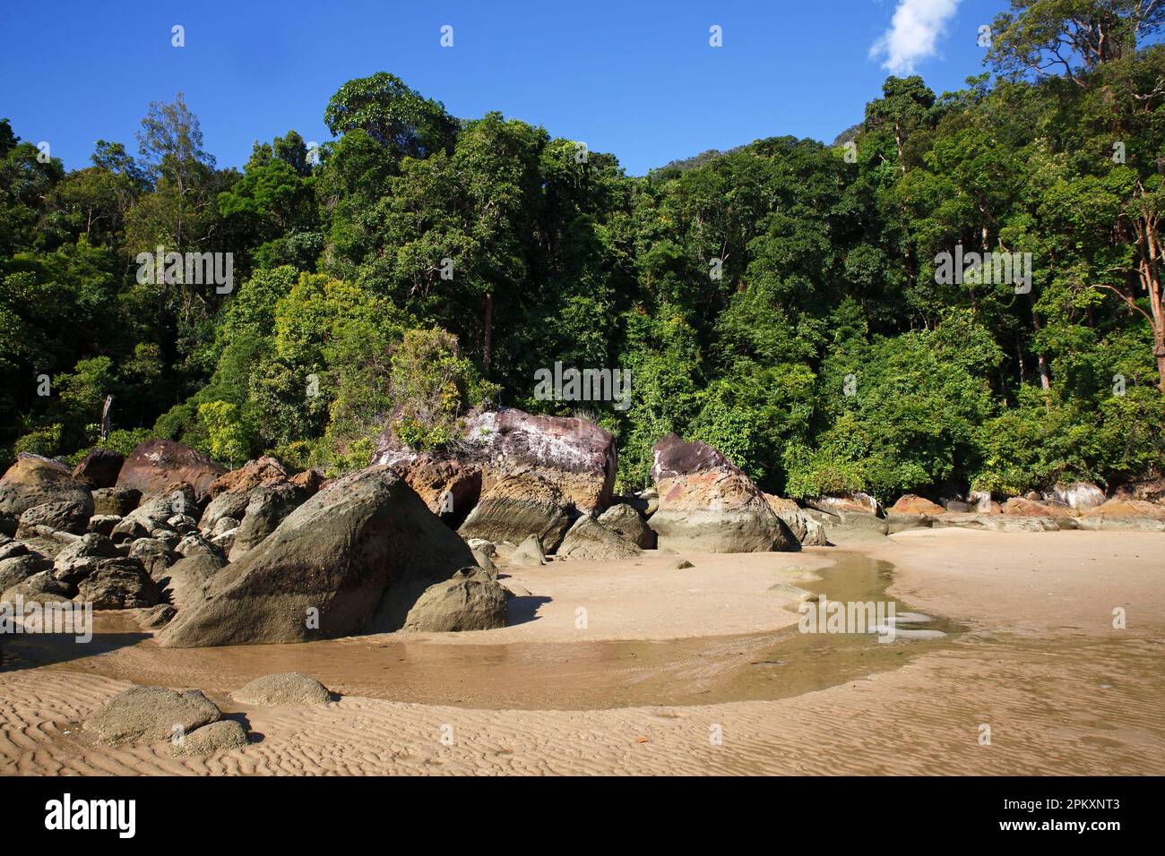 Beach with rocks and rainforest, Permai Rainforest, Damai Beach ...