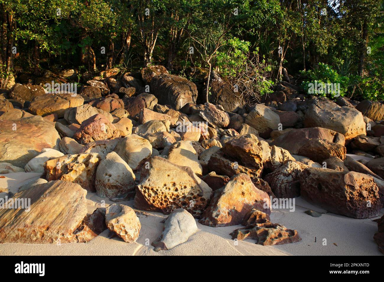 Beach with rocks and rainforest, Permai Rainforest, Satubong, South ...