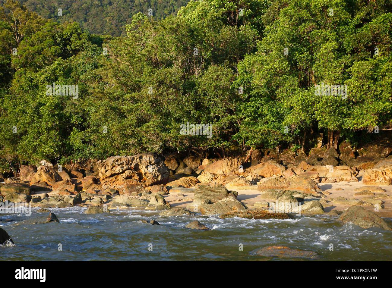 Tidal beach with rocks and rainforest, Permai Rainforest, Satubong ...